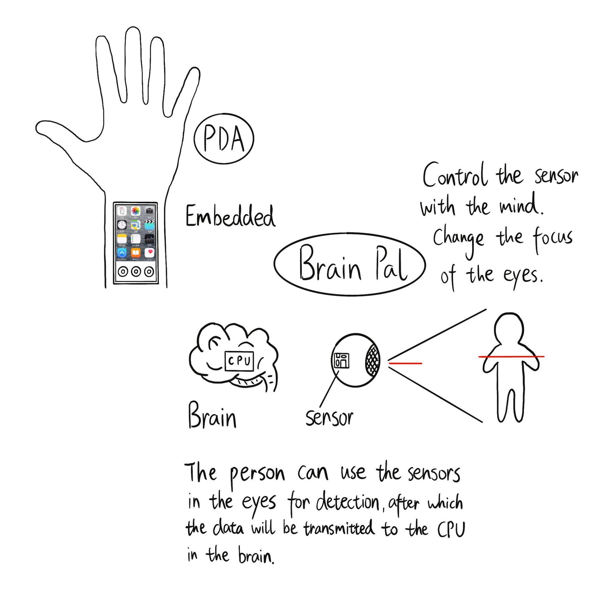 PDA and BrainPal – Interaction Design History Spring 2022